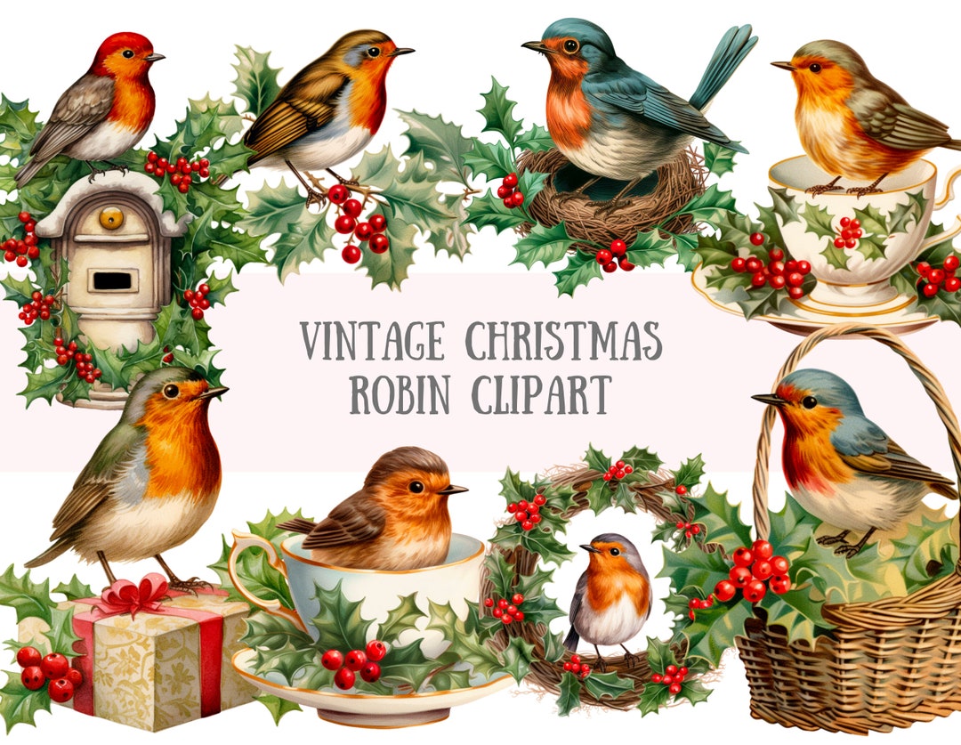 Watercolour Vintage Christmas Robin Clipart Holiday Birds PNG Digital ...