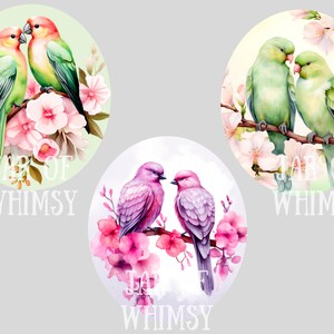 Watercolour Spring Lovebird Clipart Pastel Floral Love Birds PNG ...