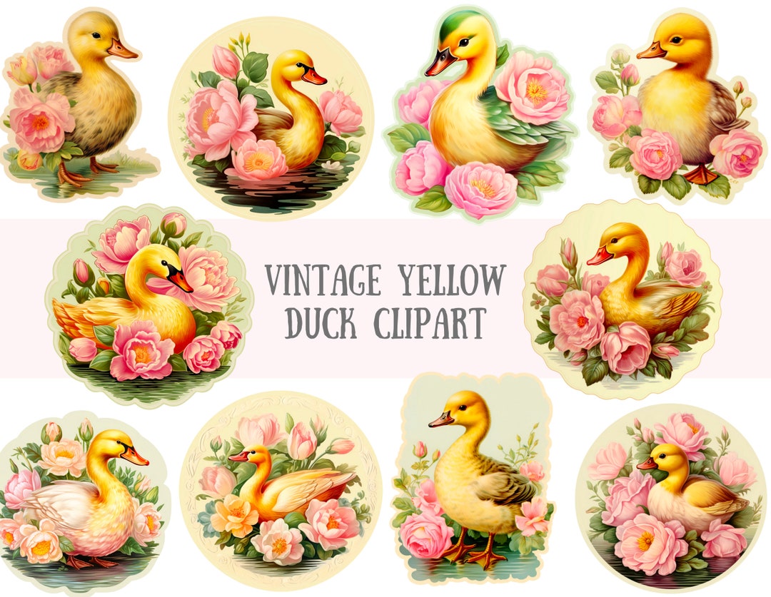 Watercolour Vintage Yellow Duck Clipart Duck Illustration PNG Digital ...