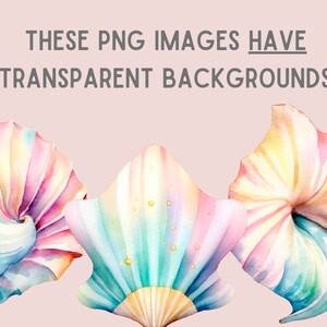Watercolour Rainbow Seashell Clipart Beach Shells PNG Digital Image ...