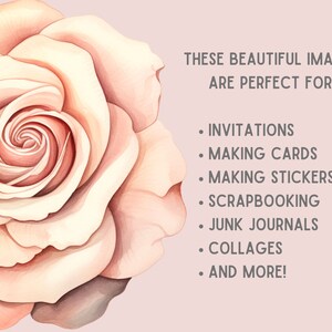 Watercolour Vintage Rose Clipart Pastel Flower Graphics PNG Digital ...