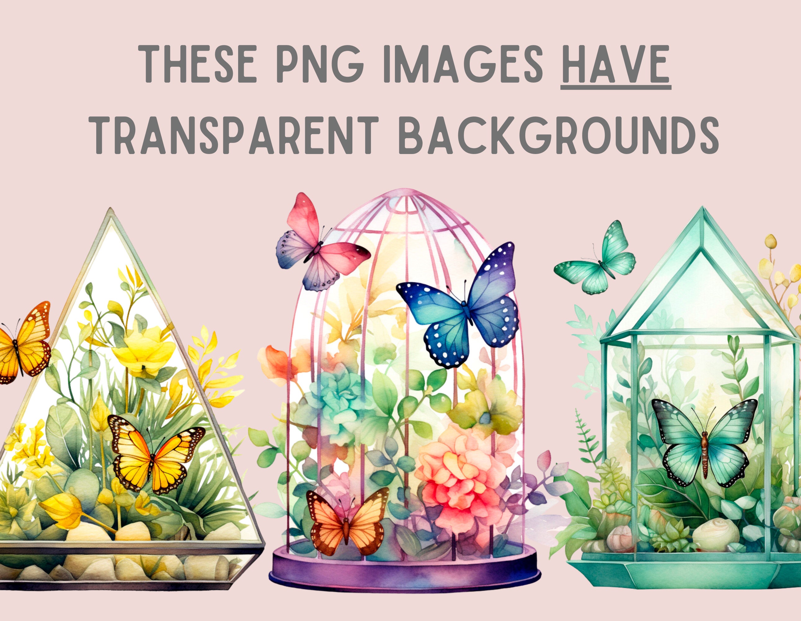 Watercolour Terrarium Clipart Cute Butterflies and Plants PNG Digital ...