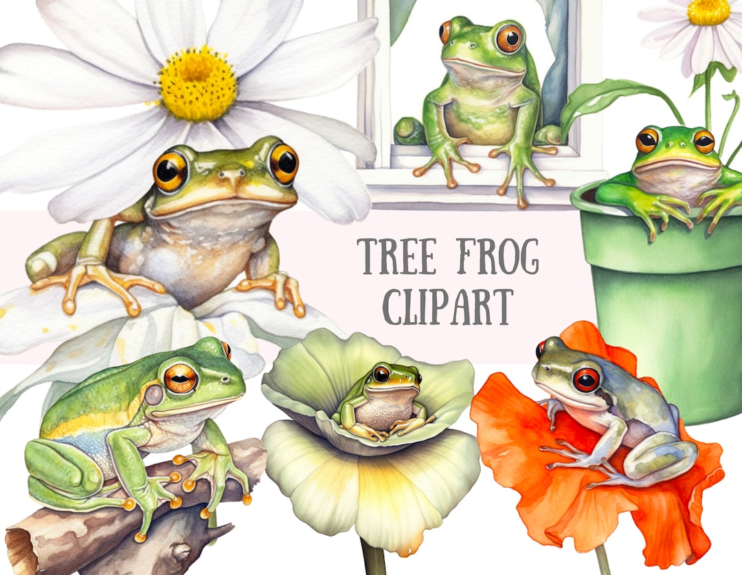 Watercolour Tree Frog Clipart Cute Green Frog PNG Digital Image ...