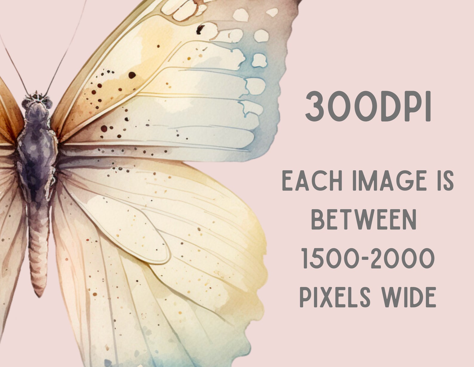 Watercolour Pastel Butterfly Clipart Spring Butterflies PNG Digital ...