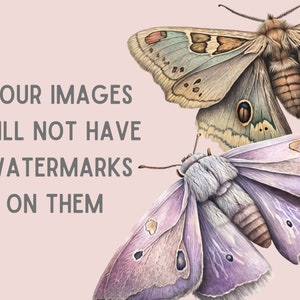Watercolour Pastel Moths Clipart Luna Moth PNG Digital Image Downloads ...