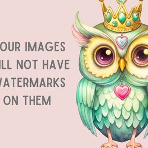 Watercolour Royal Owl Clipart Cartoon Fantasy Owl PNG Digital Image ...