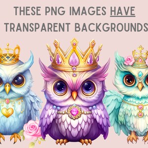 Watercolour Royal Owl Clipart Cartoon Fantasy Owl PNG Digital Image ...