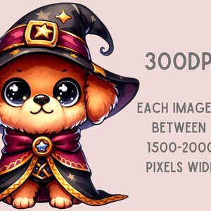 Watercolour Wizard Animal Clipart Kawaii Witch Animal PNG Digital Image ...