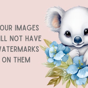 Watercolour Floral Koala Bear Clipart Australian Australiana PNG ...