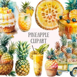 Watercolour Pineapple Clipart Tropical Fruit PNG Digital Image ...