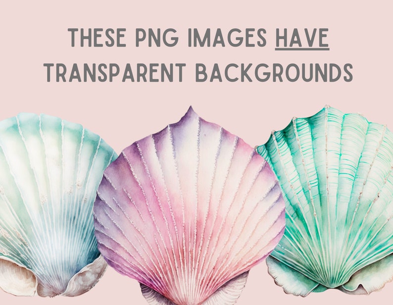 Watercolour Pastel Seashell Clipart - Beach Shells PNG Digital Image ...
