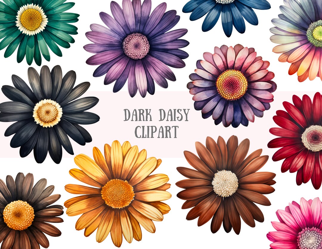 Watercolour Dark Daisies Clipart Gothic Flower Elements PNG Digital ...