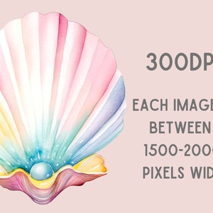 Watercolour Rainbow Seashell Clipart Beach Shells PNG Digital Image ...