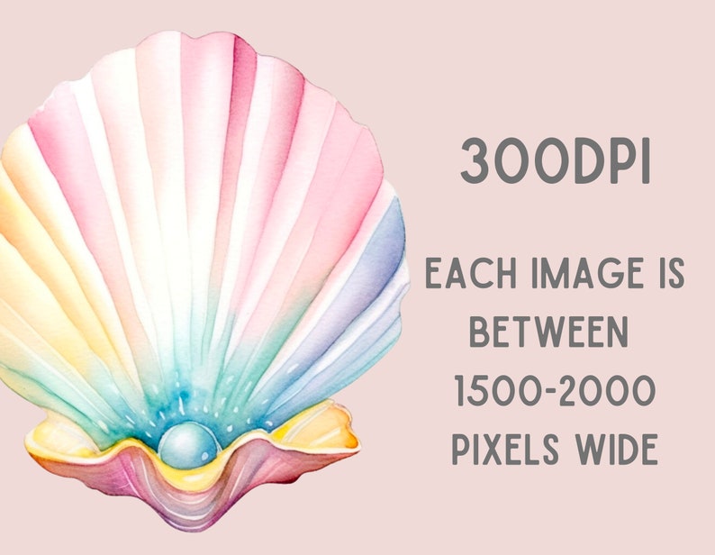 Watercolour Rainbow Seashell Clipart Beach Shells PNG Digital Image ...