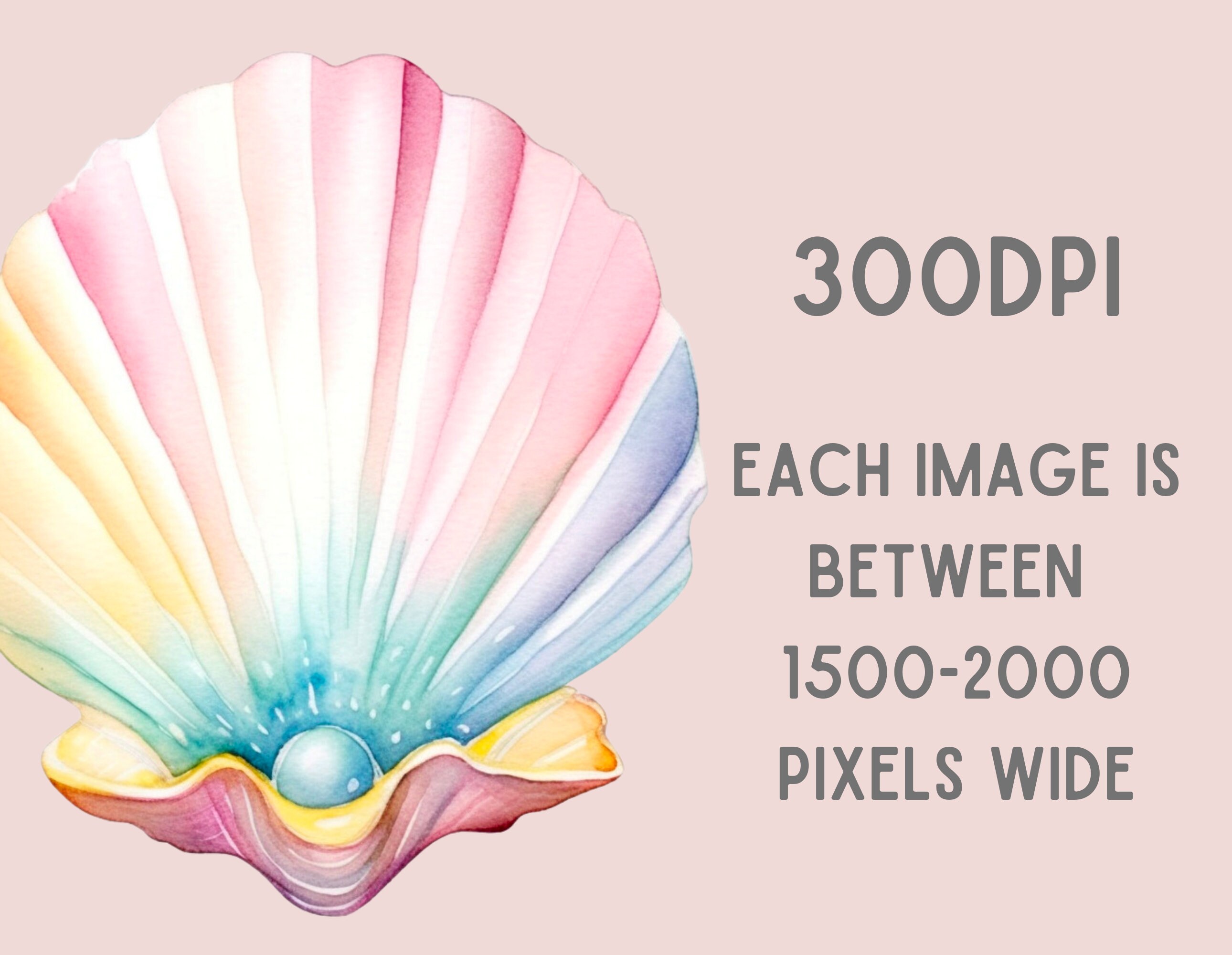 Watercolour Rainbow Seashell Clipart Beach Shells PNG Digital Image ...