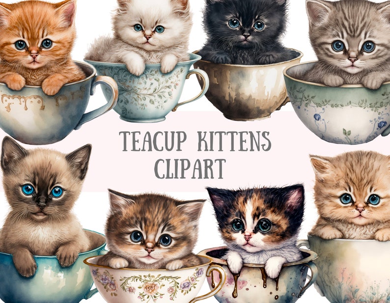 Watercolour Vintage Teacup Kittens Clipart - Kawaii Cat PNG Digital ...