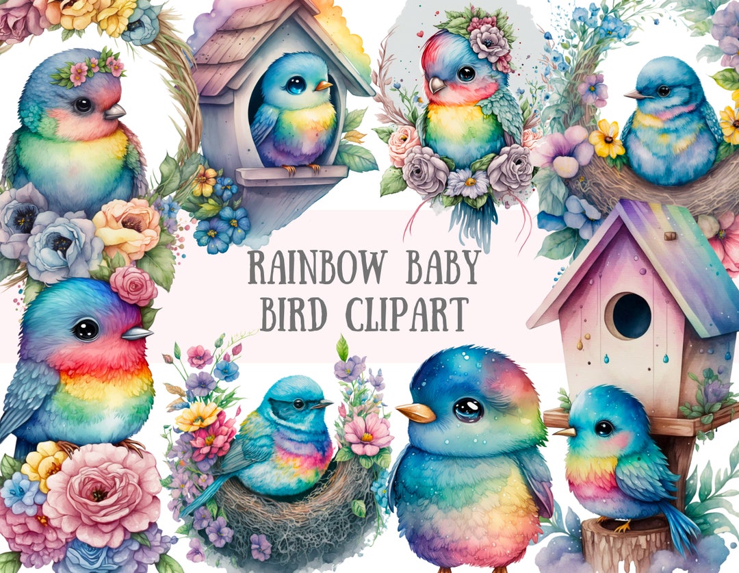 Watercolour Baby Rainbow Bird Clipart - Spring Blue Bird PNG Digital ...