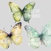 Watercolour Pastel Butterfly Clipart Spring Butterflies PNG Digital ...