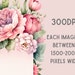 Watercolour Pink Floral Tag Clipart Rose Label PNG Digital - Etsy