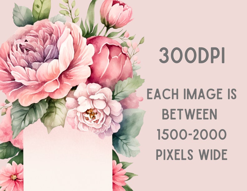 Watercolour Pink Floral Tag Clipart Rose Label PNG Digital - Etsy