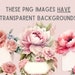 Watercolour Pink Floral Tag Clipart Rose Label PNG Digital - Etsy