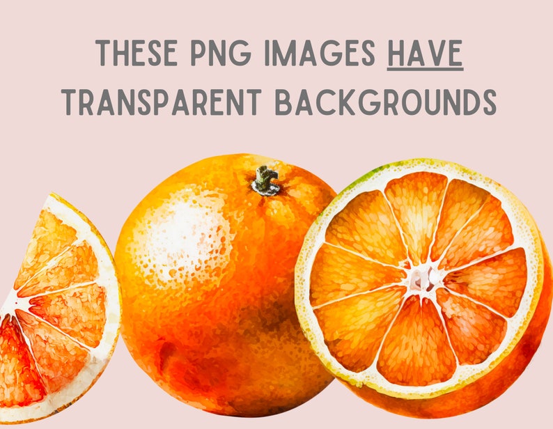 Watercolour Orange Clipart Citrus Fruit Orchard PNG Digital Image ...