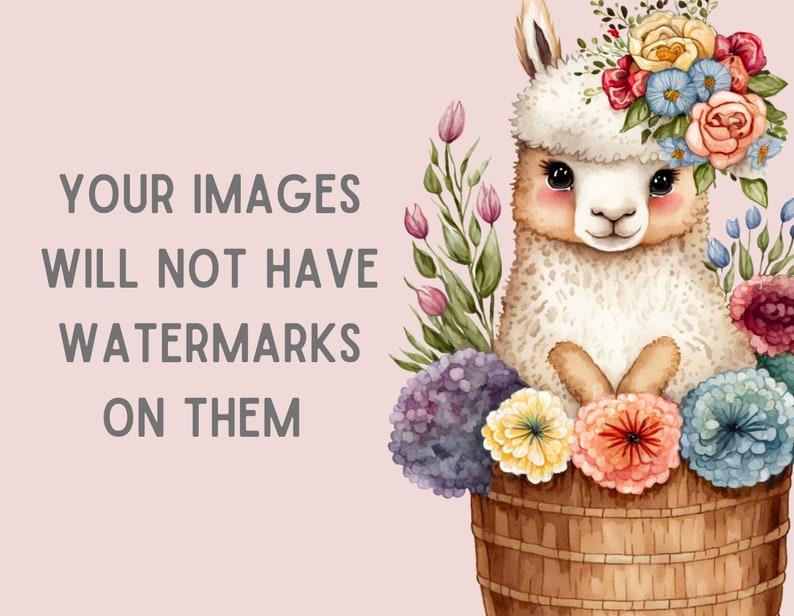 Watercolour Spring Llama Clipart Easter Llamas PNG Digital - Etsy