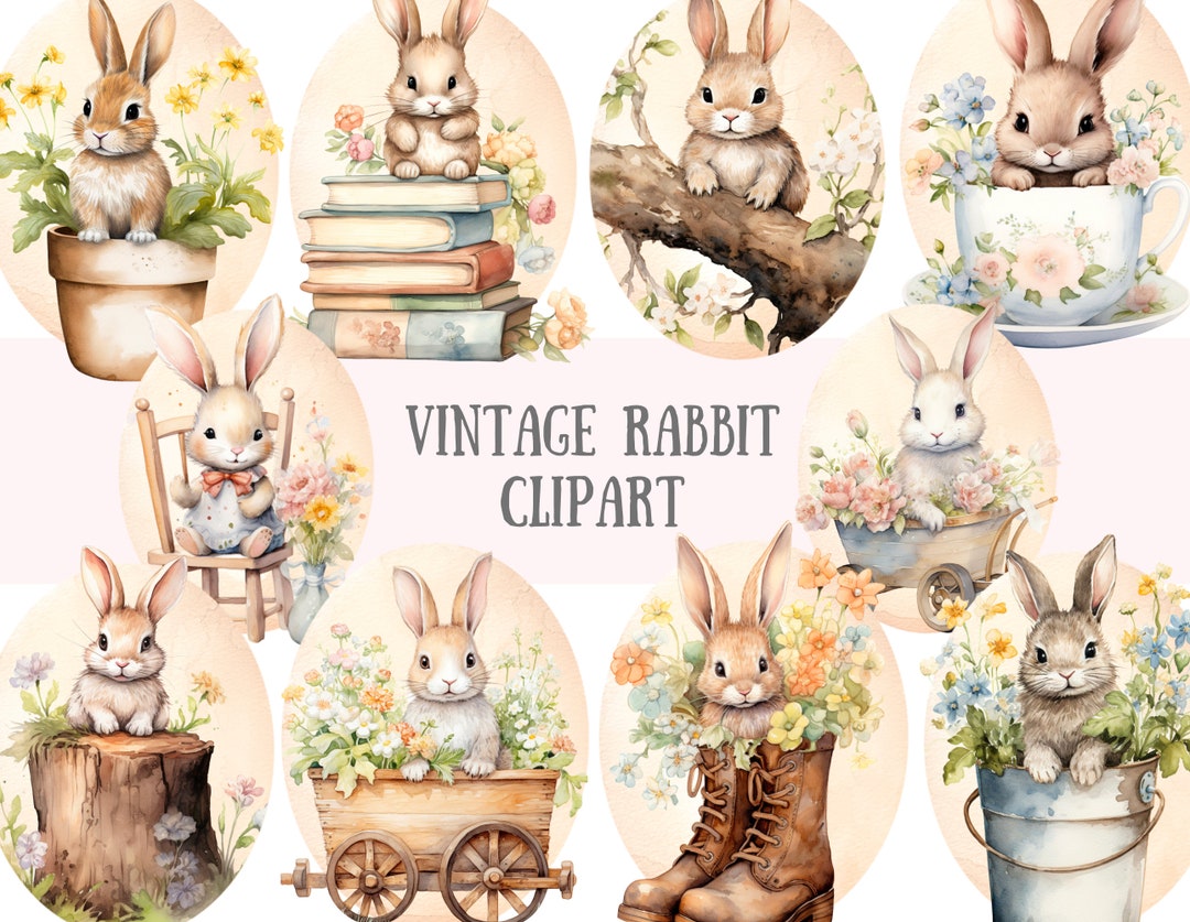 Watercolour Vintage Rabbit Clipart Vintage Storybook Bunny PNG Digital ...