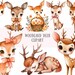 Watercolour Woodland Animals Clipart Bear Deer Fox Owl PNG Digital ...
