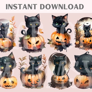 Watercolour Halloween Black Cat Clipart Jack O Lantern PNG Digital ...