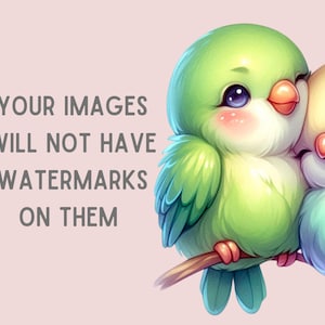 Watercolour Chibi Lovebird Clipart Kawaii Love Bird Pairs PNG Digital ...
