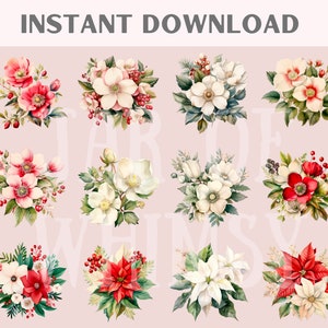 Watercolour Christmas Flower Clipart Festive Flower Elements PNG ...