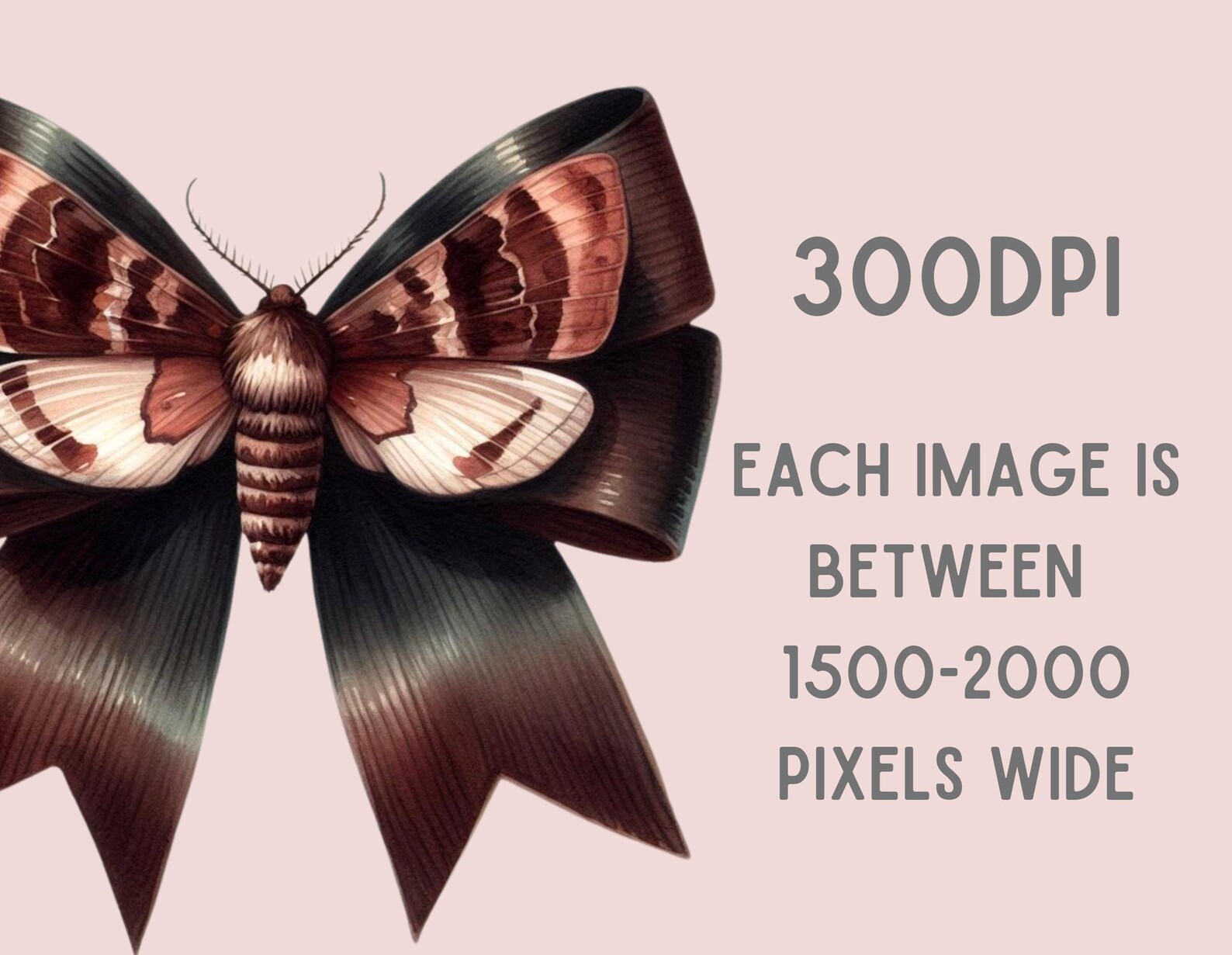 Watercolour Moth Bow Clipart Gothic Spooky Bow PNG Digital Image ...