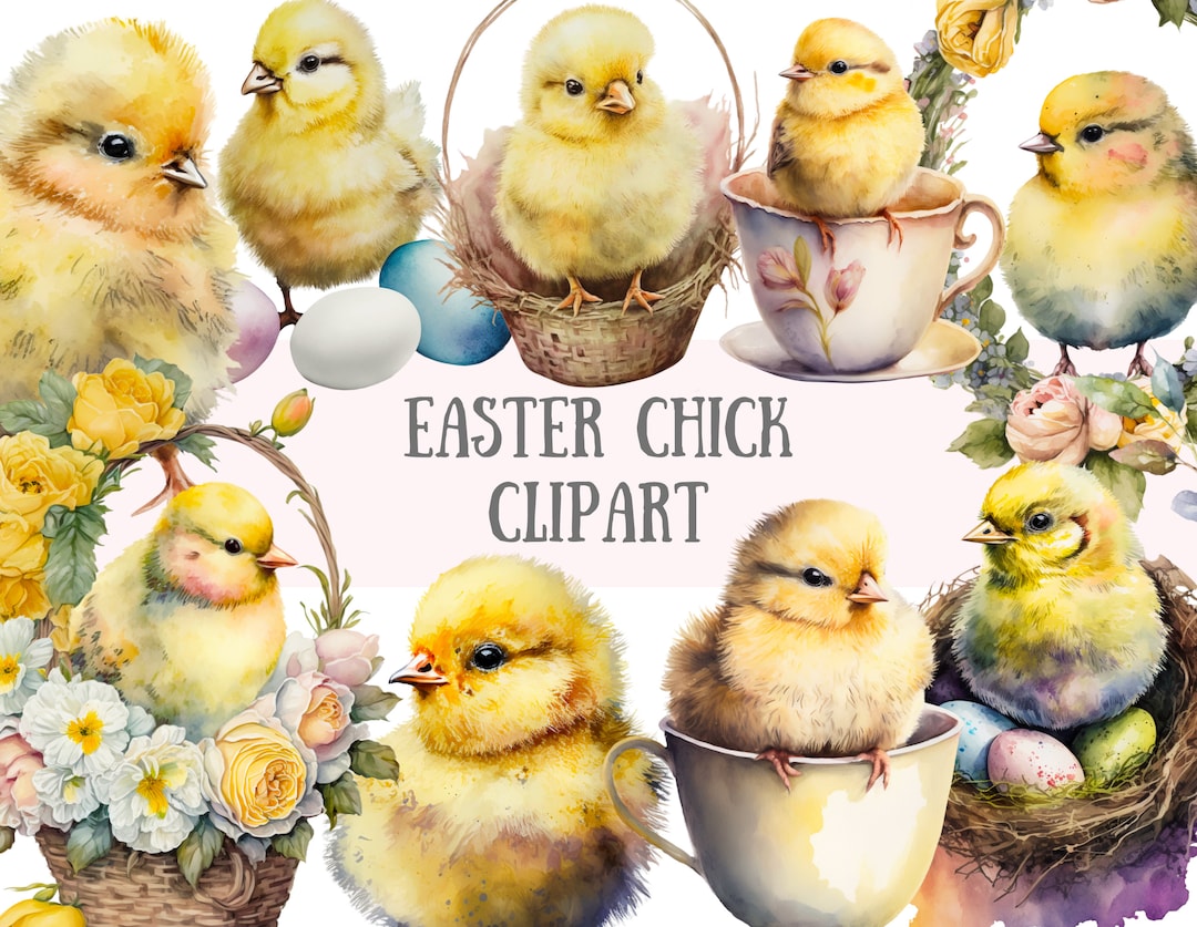 Watercolour Easter Chick Clipart - Spring Easter Basket PNG Digital ...