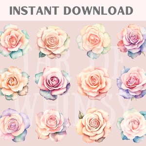 Watercolour Vintage Rose Clipart Pastel Flower Graphics PNG Digital ...