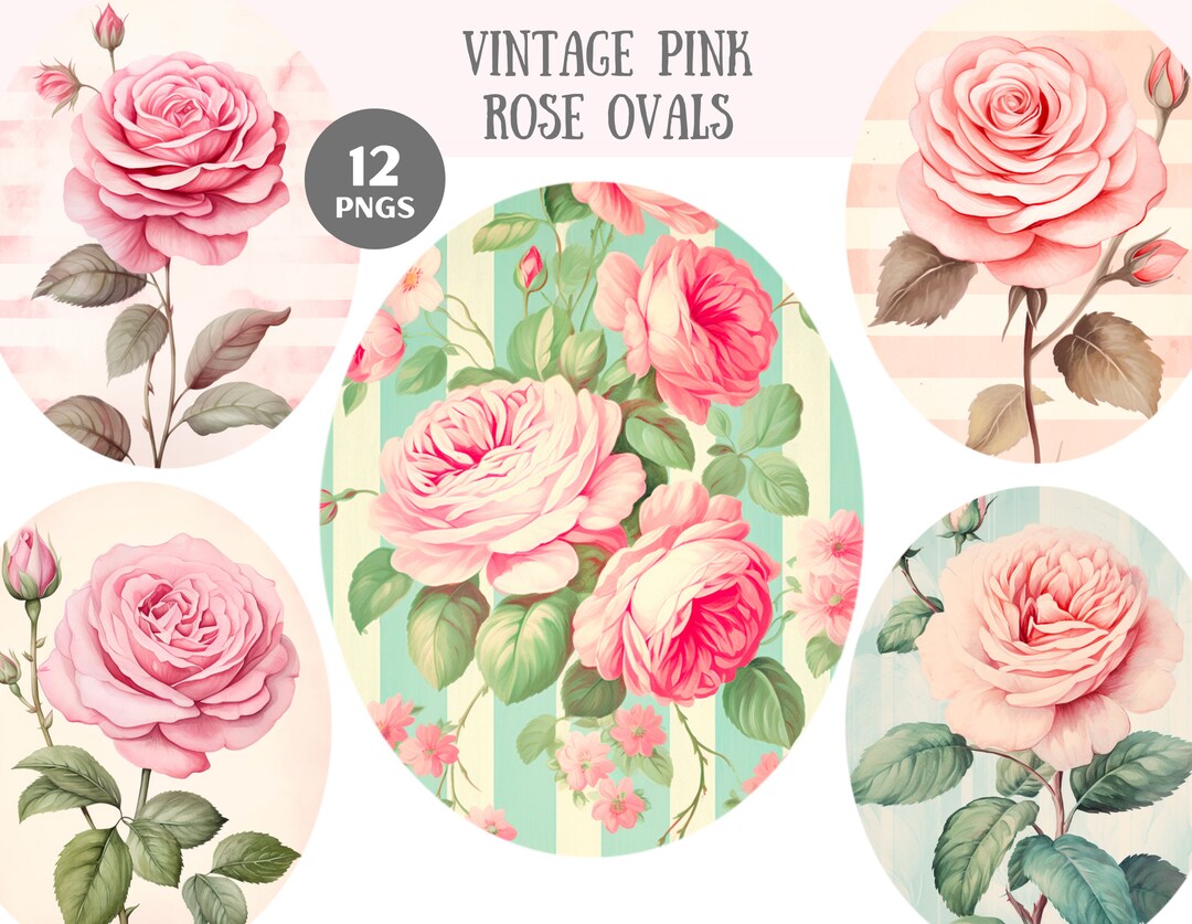 Watercolour Vintage Pink Rose Clipart Pink and Mint Floral PNG Digital ...