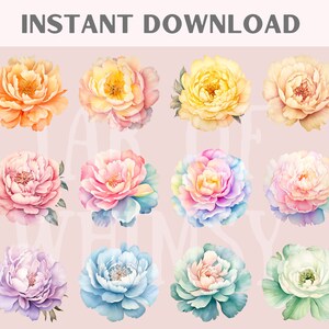 Watercolour Pastel Peony Clipart Spring Flower Elements PNG Digital ...