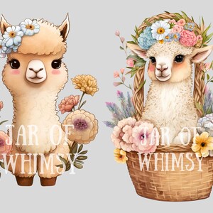 Watercolour Spring Llama Clipart - Easter Llamas PNG Digital Image ...