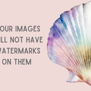 Watercolour Pastel Seashell Clipart - Beach Shells PNG Digital Image ...