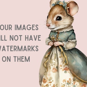 Watercolour Fairytale Mice Clipart Princess Mouse PNG Digital Image ...