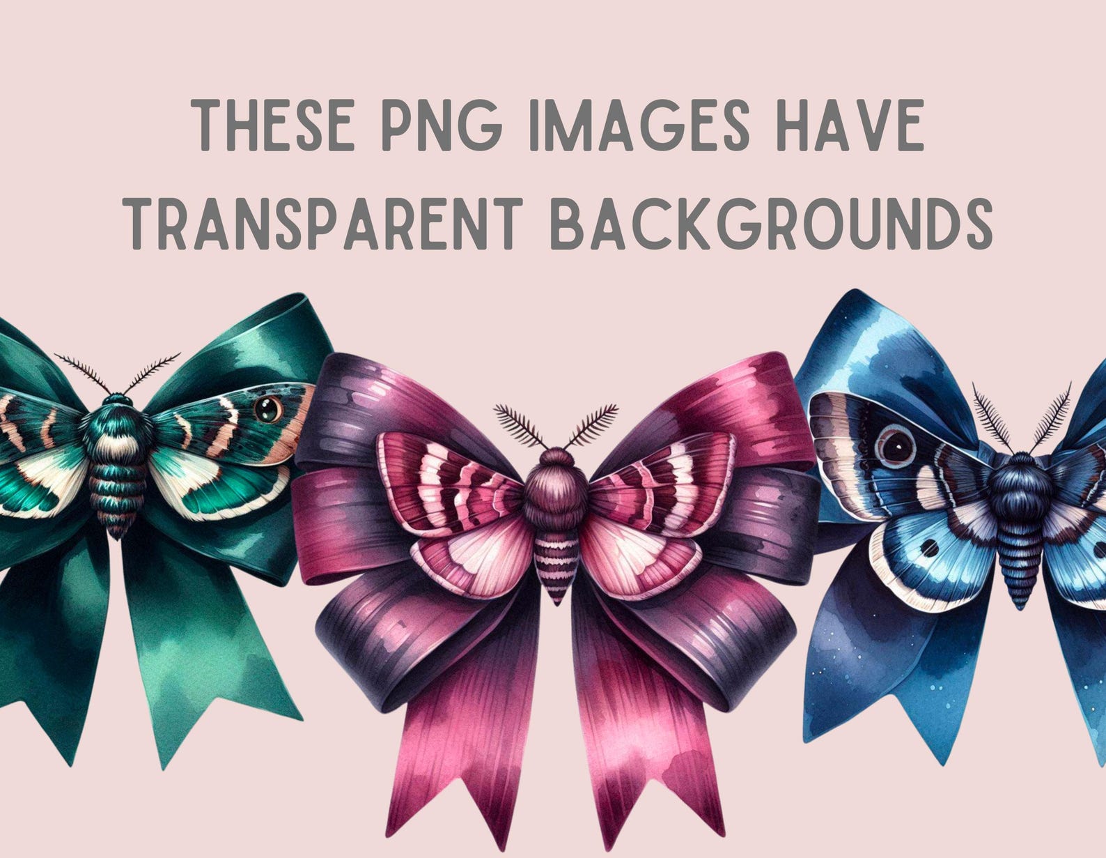 Watercolour Moth Bow Clipart Gothic Spooky Bow PNG Digital Image ...