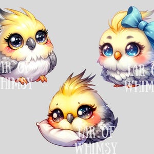 Watercolour Kawaii Cockatiel Clipart Chibi Pet Bird PNG Digital Image ...