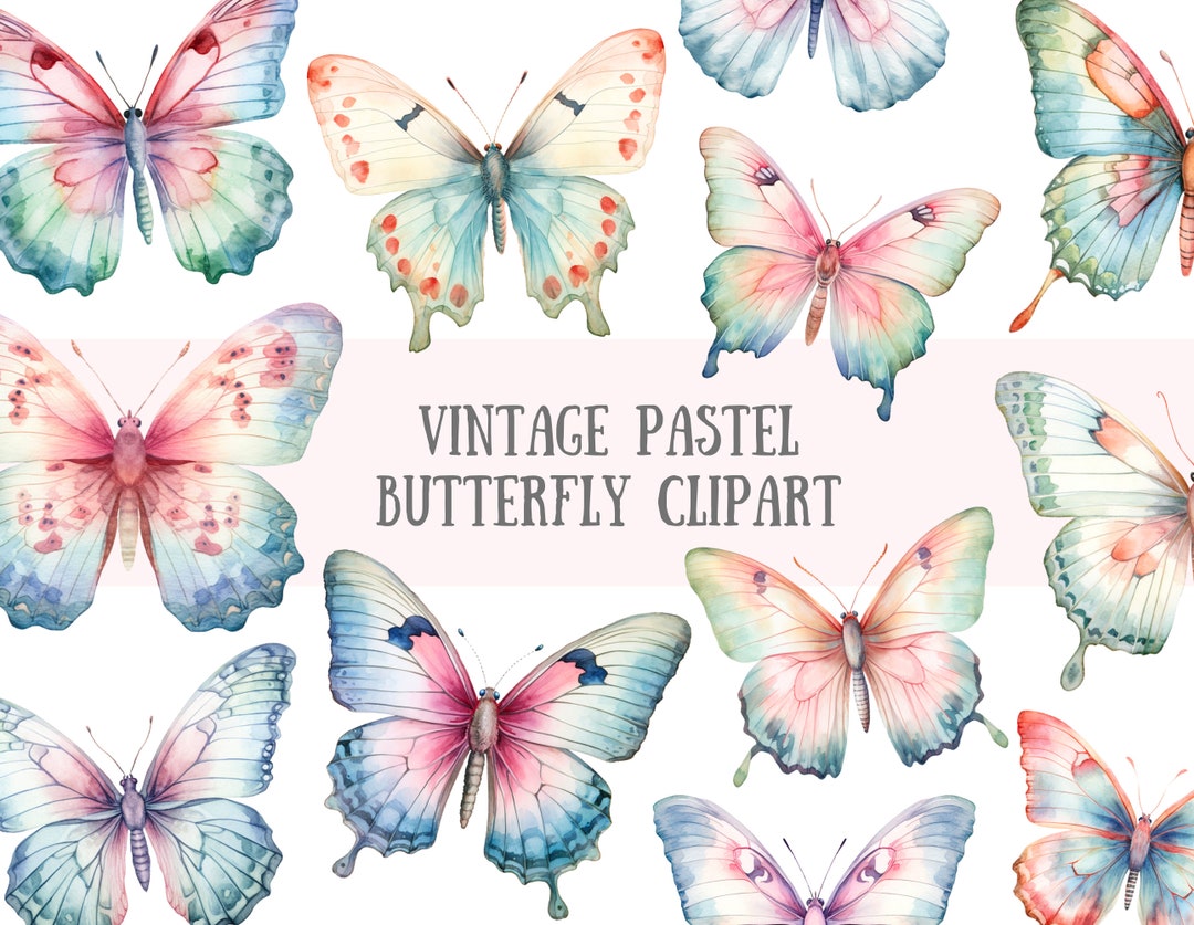 Watercolour Vintage Pastel Butterfly Clipart Cute Butterfly PNG Digital ...