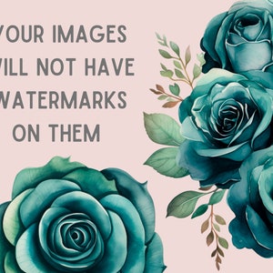 Watercolour Dark Teal Rose Clipart Aqua Green Flower Graphics PNG ...
