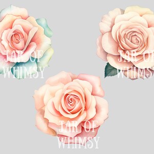 Watercolour Vintage Rose Clipart Pastel Flower Graphics PNG Digital ...