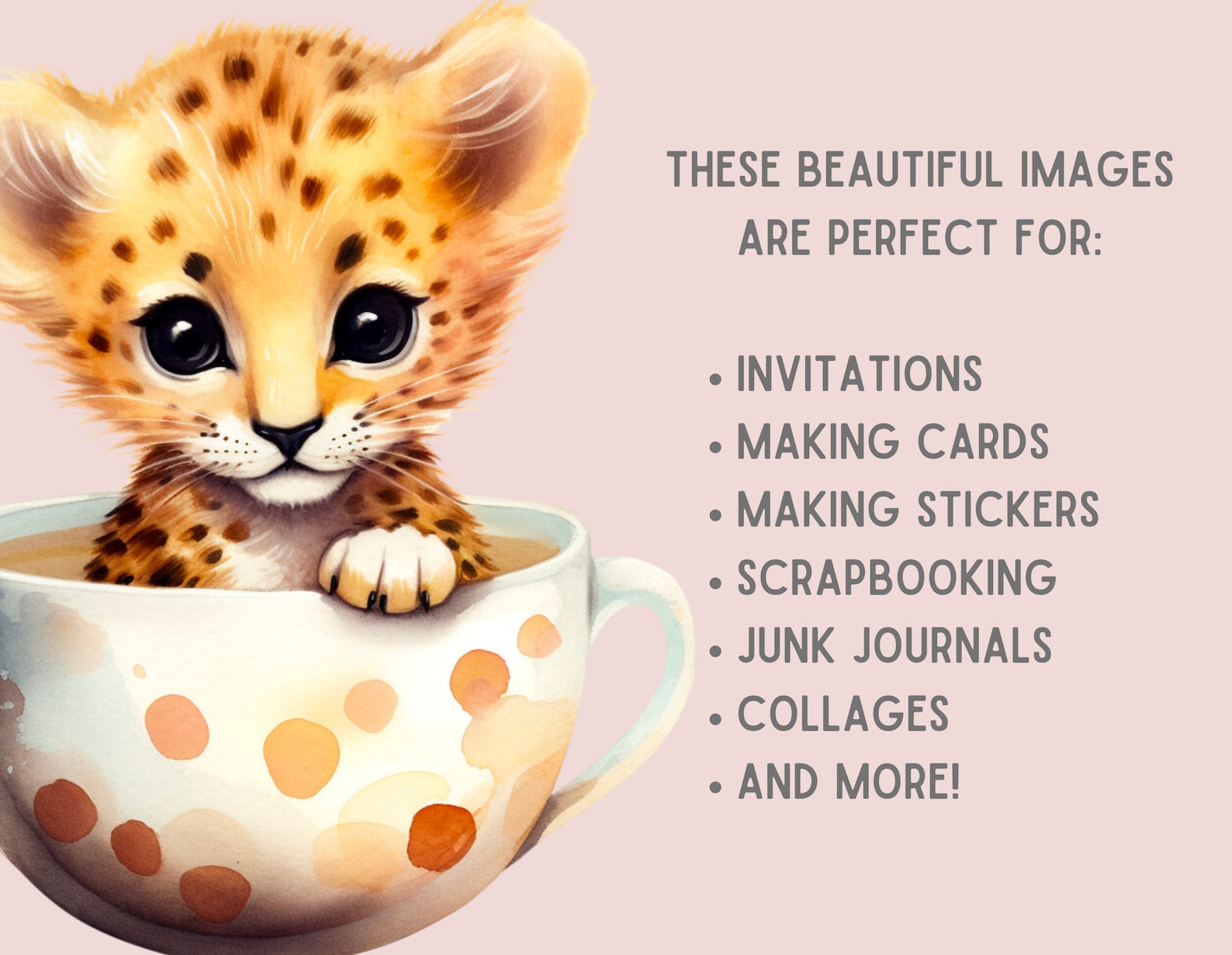 Watercolour Safari Animal Teacup Clipart Baby Animals PNG Digital Image ...