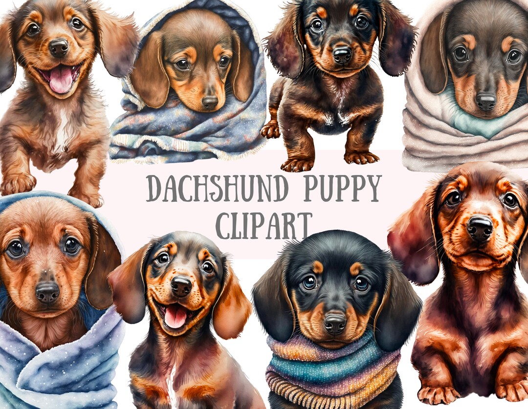 Watercolour Dachshund Puppies Clipart - Sausage Dog PNG Digital Image ...