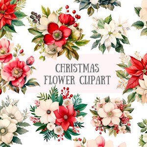 Watercolour Christmas Flower Clipart Festive Flower Elements PNG ...