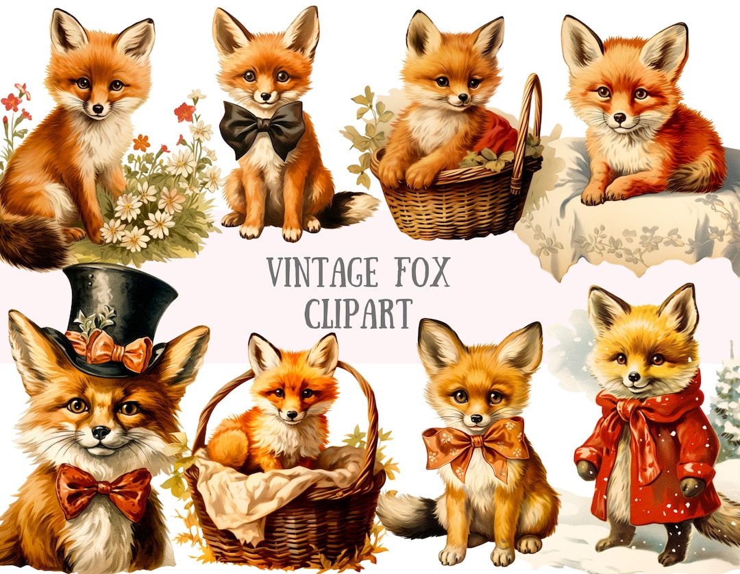 Watercolour Vintage Fox Clipart Retro Woodland Fox PNG Digital Image ...