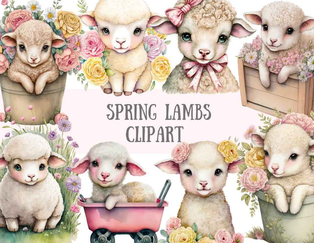 Watercolour Spring Lambs Clipart - Easter Lambs PNG Digital Image ...